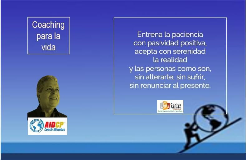 Entrena la paciencia con pasividad positiva, acepta con serenidad la ...